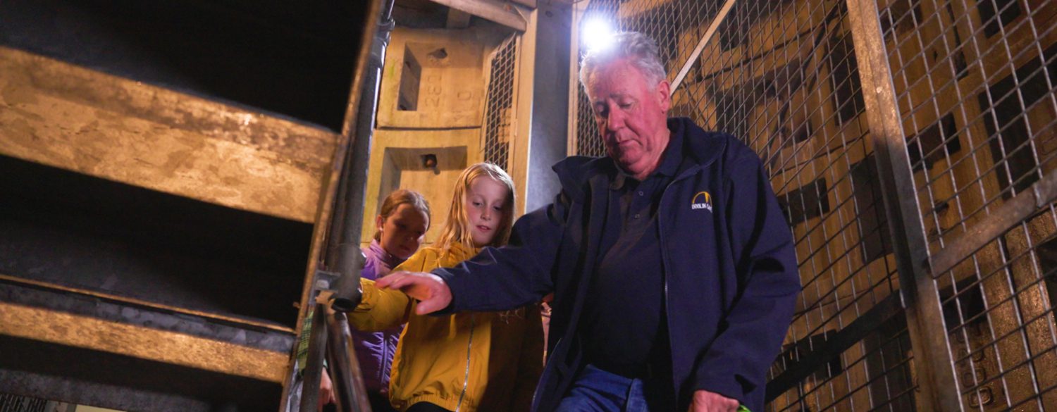 Plan Your Visit to Doolin Cave